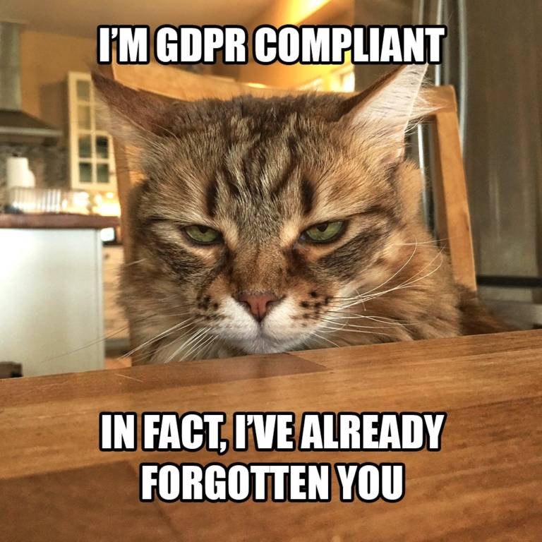 Our top GDPR-related animal memes - Taylors Corn Stores